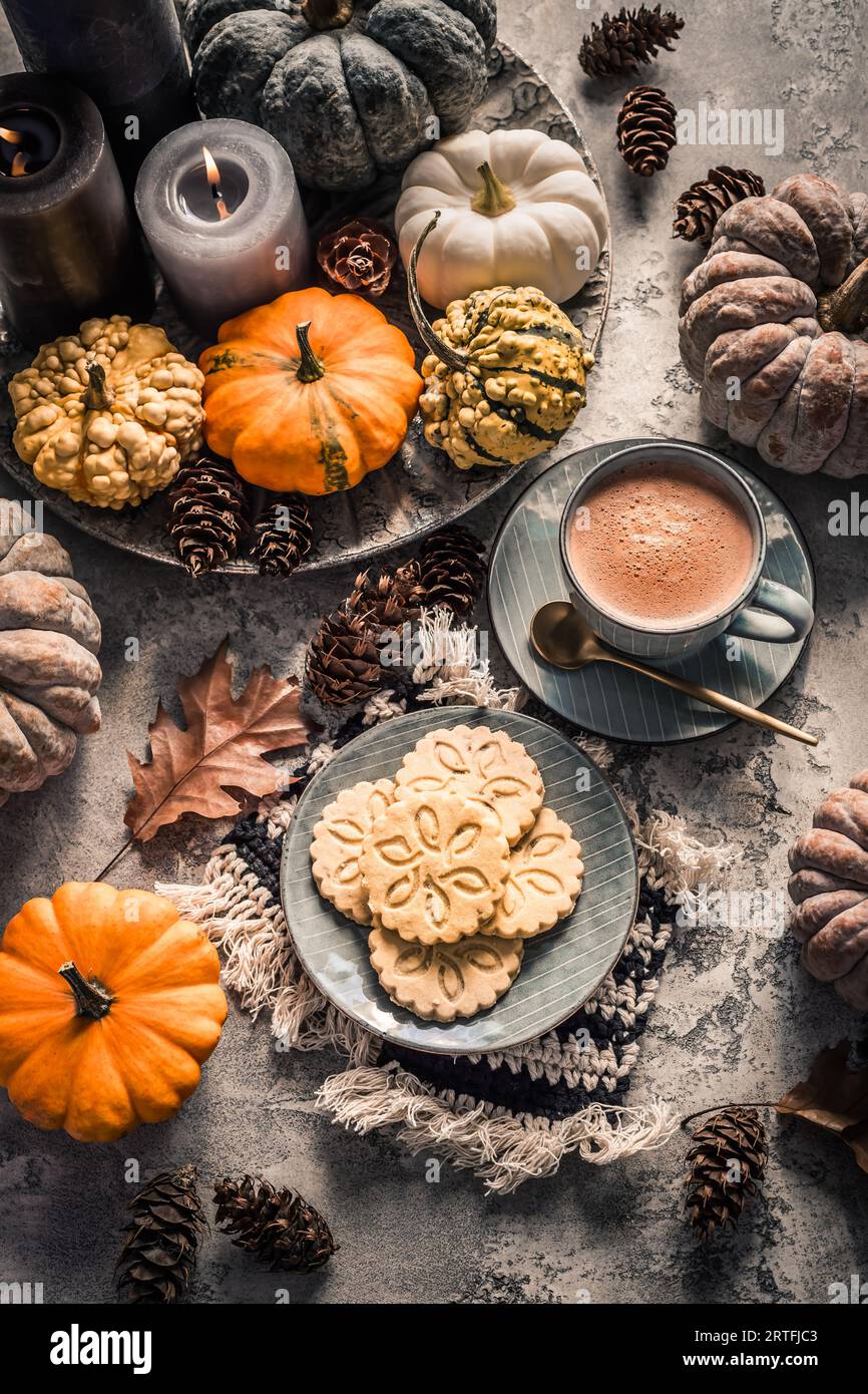 Chai chocolate or hot cacao with chai cookies, pumpkins for ...