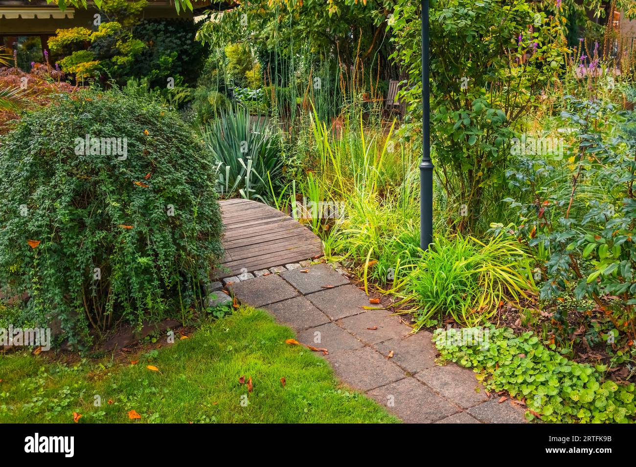 Hedge pathway hi-res stock photography and images - Alamy
