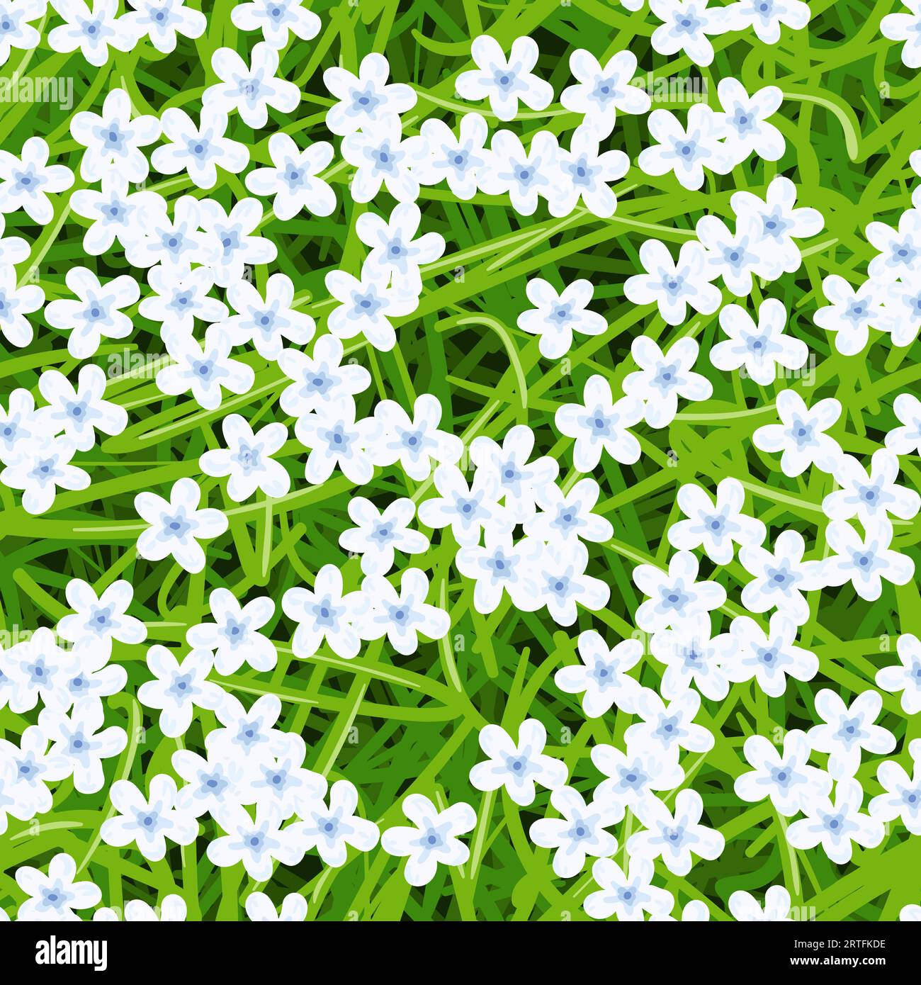 Flowering grass background Stock Vector Images - Alamy