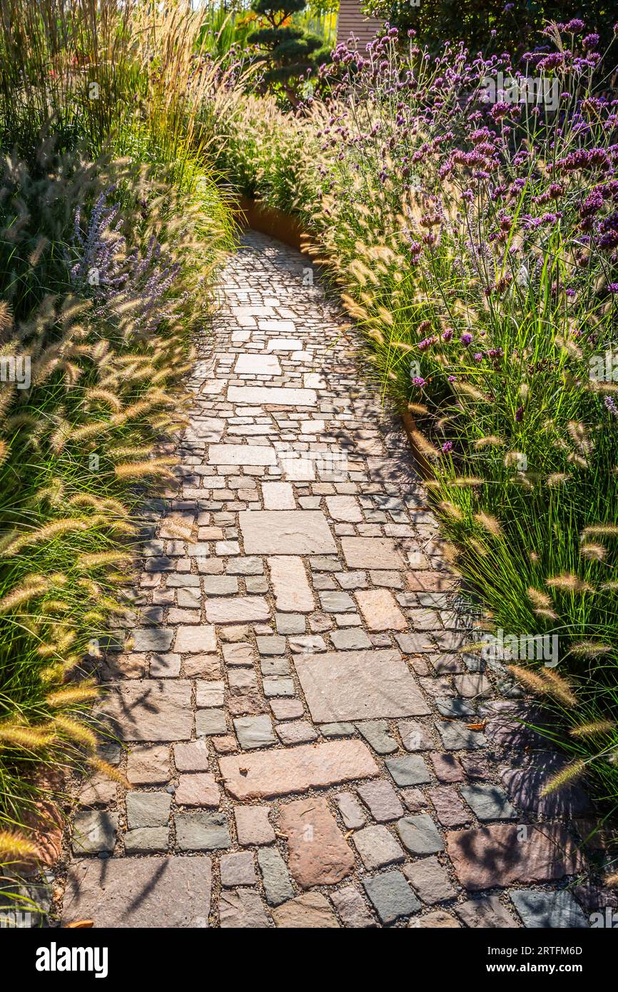 Paved path in natural garden with ornamental grasses in backyard or ...