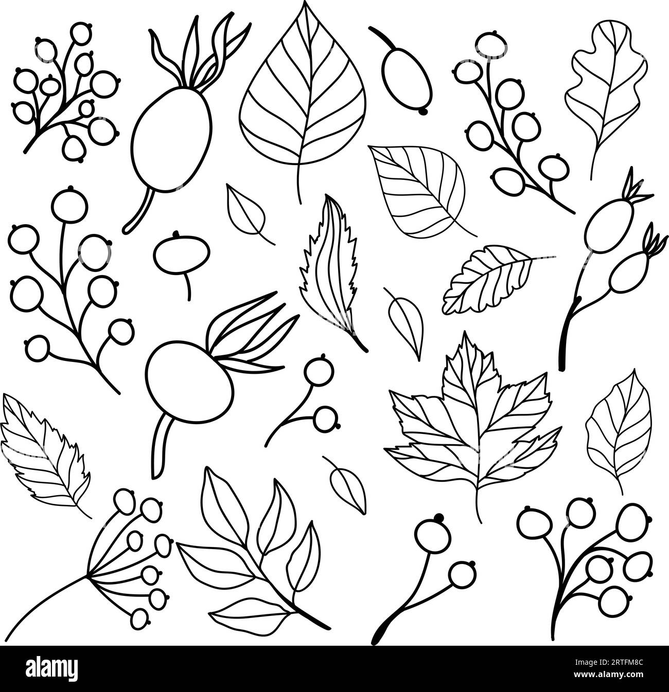 Nature book covers Black and White Stock Photos & Images - Alamy