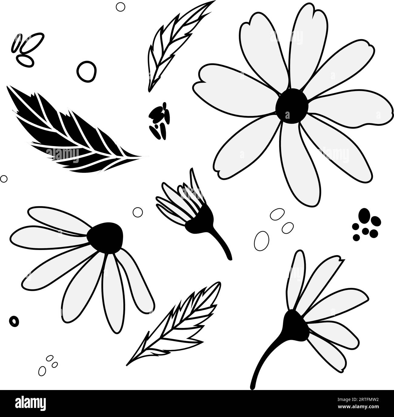 White daisy chamomile flowers. Camomile vector silhouette illustration ...
