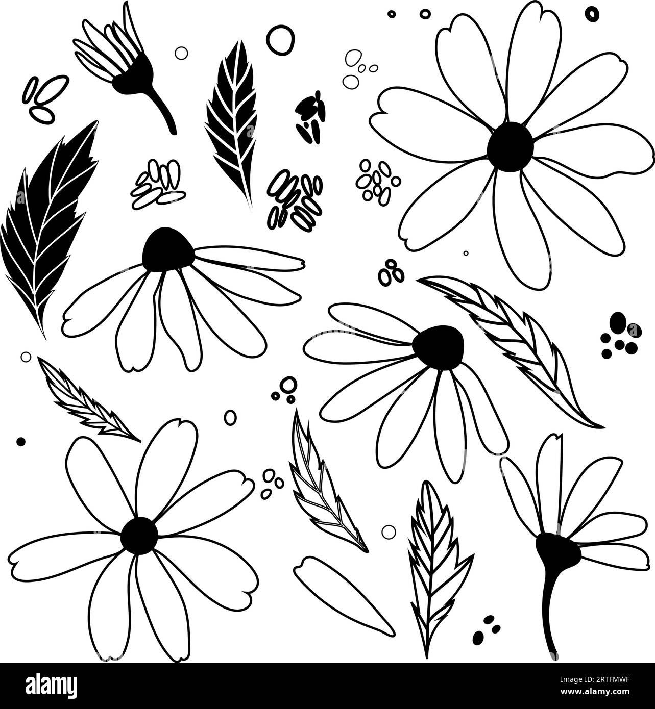 White daisy chamomile flowers. Camomile vector silhouette illustration ...