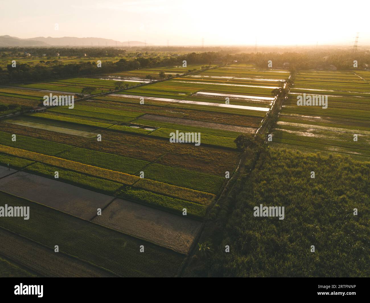Aerial view of rice field with sun rays in Indonesia Stock Photo - Alamy