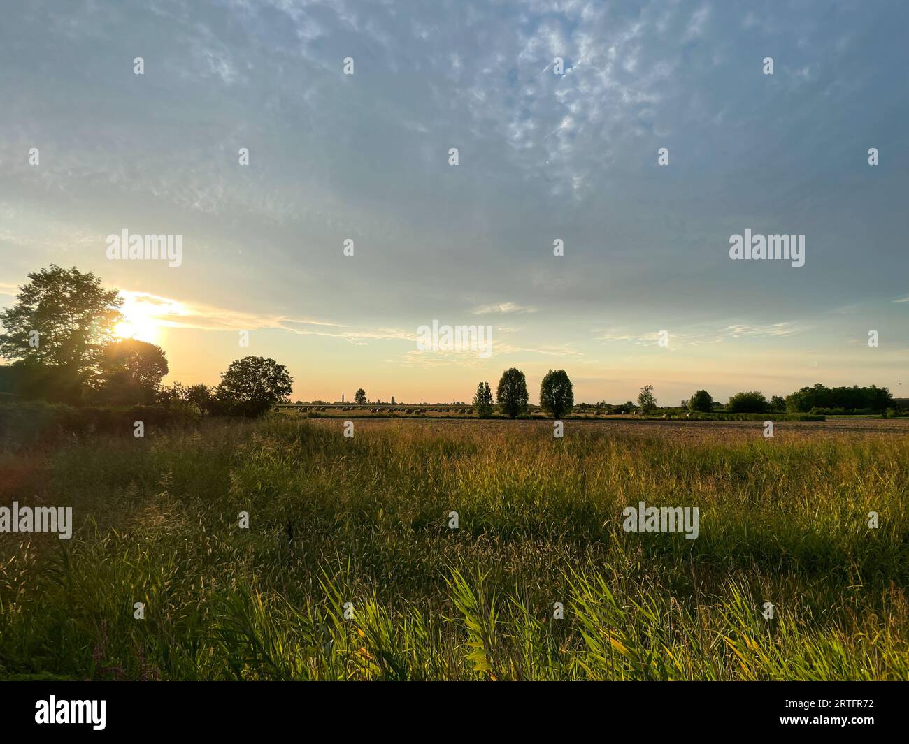 Golden sunset illuminates the tranquil landscapes of a summer ...