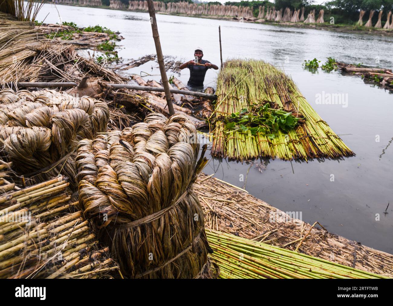 The Asia Pacific region, led by major jute producer India, dominates ...