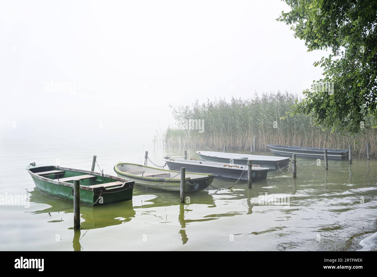 Simple wetland landscape hi-res stock photography and images - Alamy