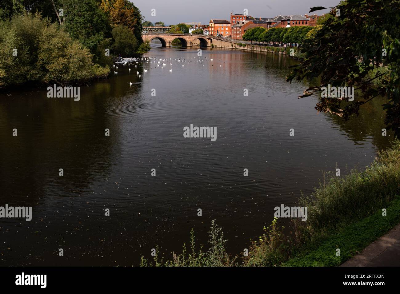 Worcester the shambles hi-res stock photography and images - Alamy