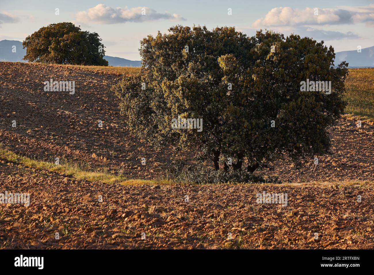 Fallow land. Rural landscape in Spain. Agriculture. Countryside Stock ...
