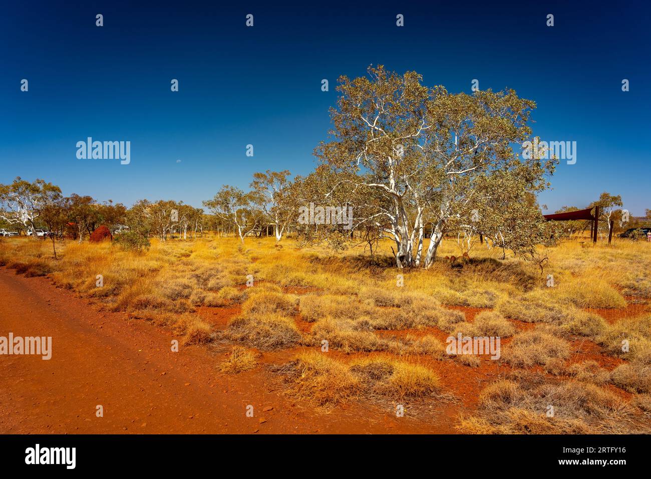 Bright red landscape in Western Australia in Karijini National Park in ...