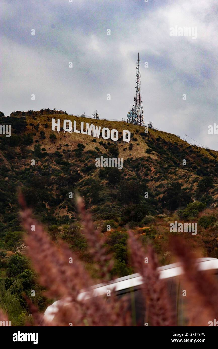 The iconic Hollywood sign perched atop a lush green hillside in sunny ...
