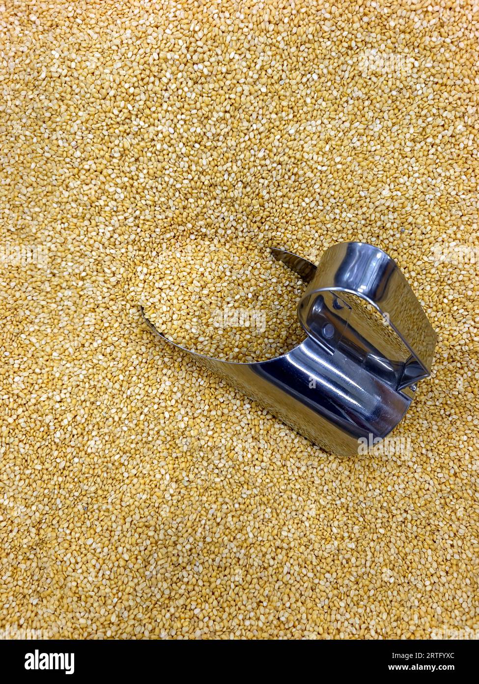 Dry organic Split Half Moong or Mung bean , green gram, Maash top view ...
