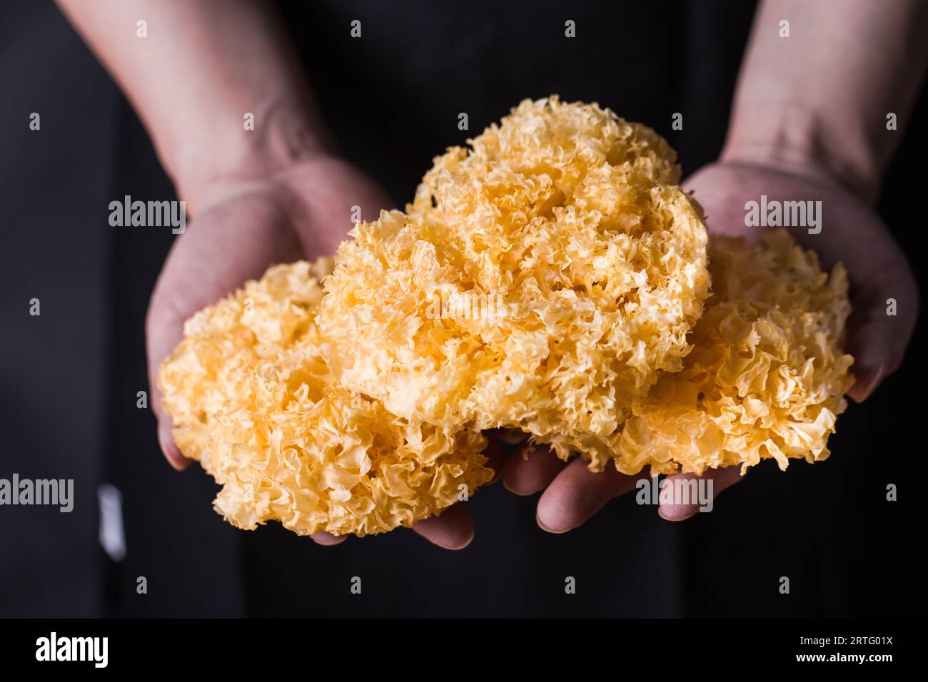 Fresh white fungus (Tremella fuciformis) on a bamboo background Stock ...