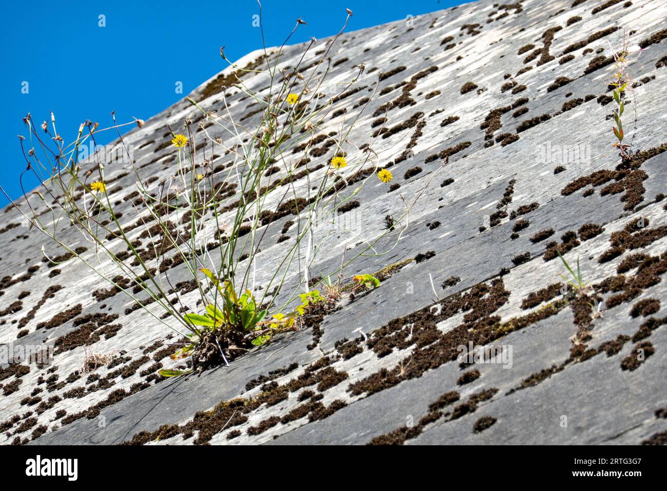 The pyramid blickling hi-res stock photography and images - Alamy