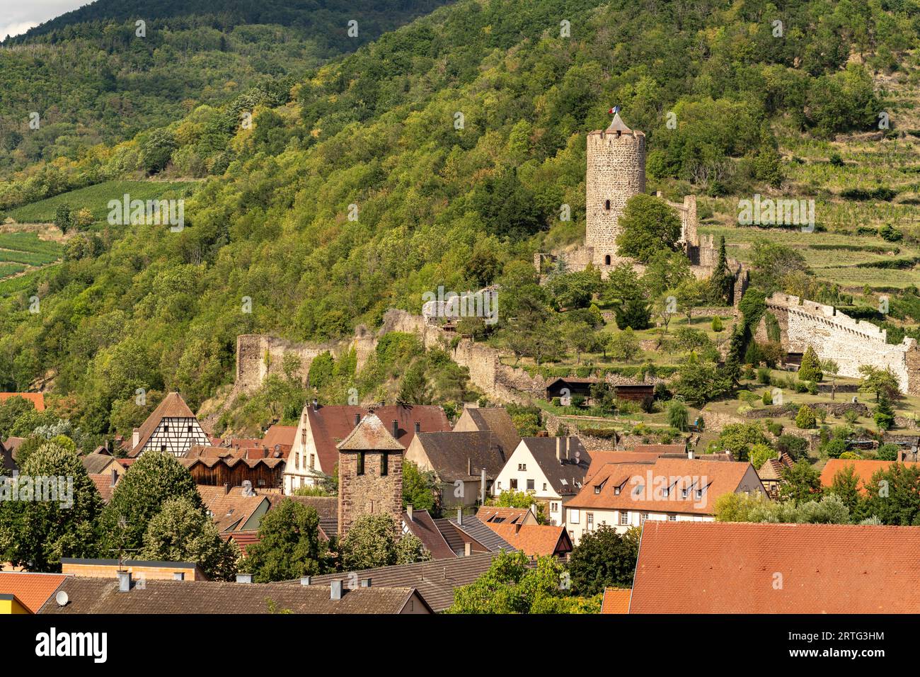 Die Burg Kaysersberg, Elsass, Frankreich | Kaysersberg castle, Alsace ...