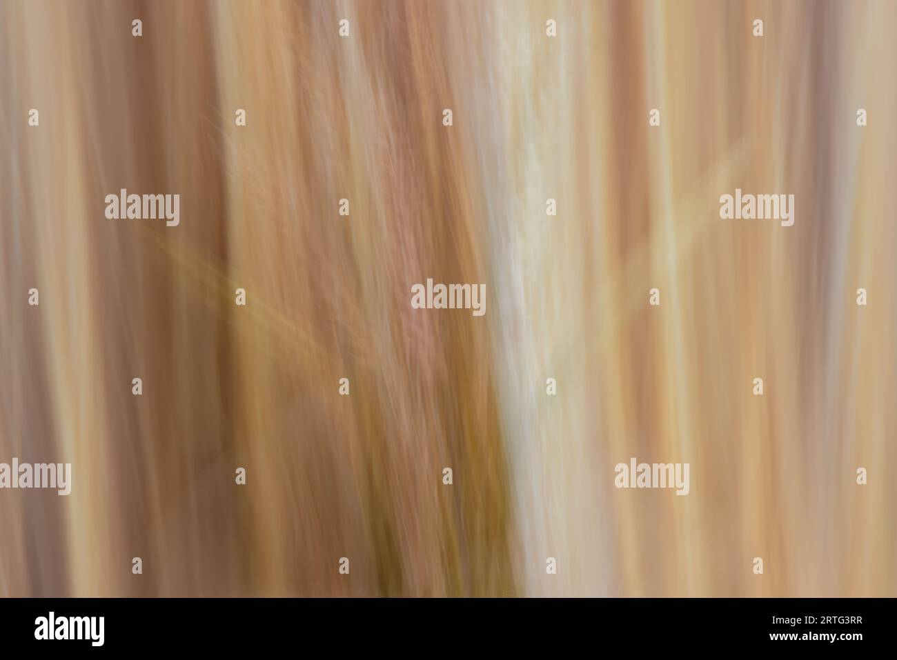 Vertical movement hi-res stock photography and images - Alamy