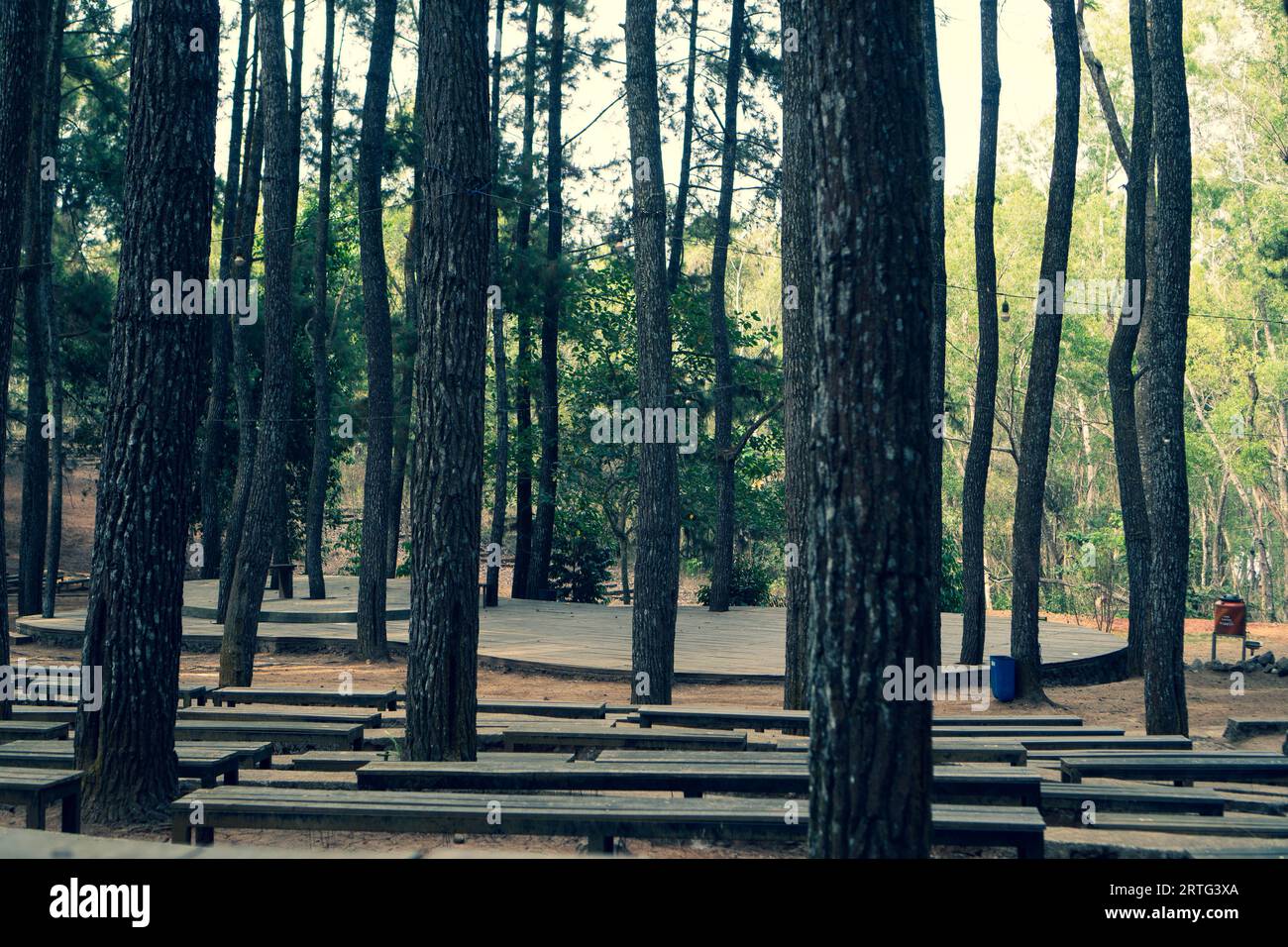 Wooden stage hi-res stock photography and images - Alamy