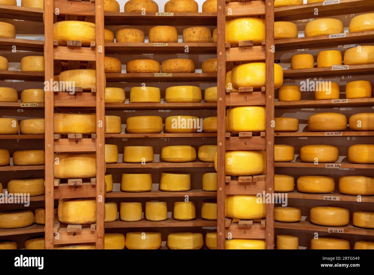 Multiple cultures hi-res stock photography and images - Alamy