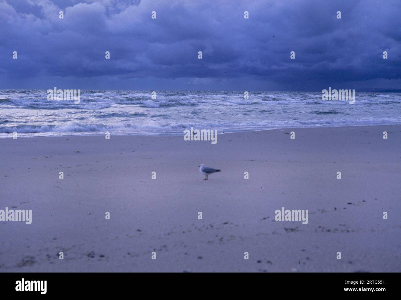Melbourne, Australia December 1999: Historic view of Melbourne's ...