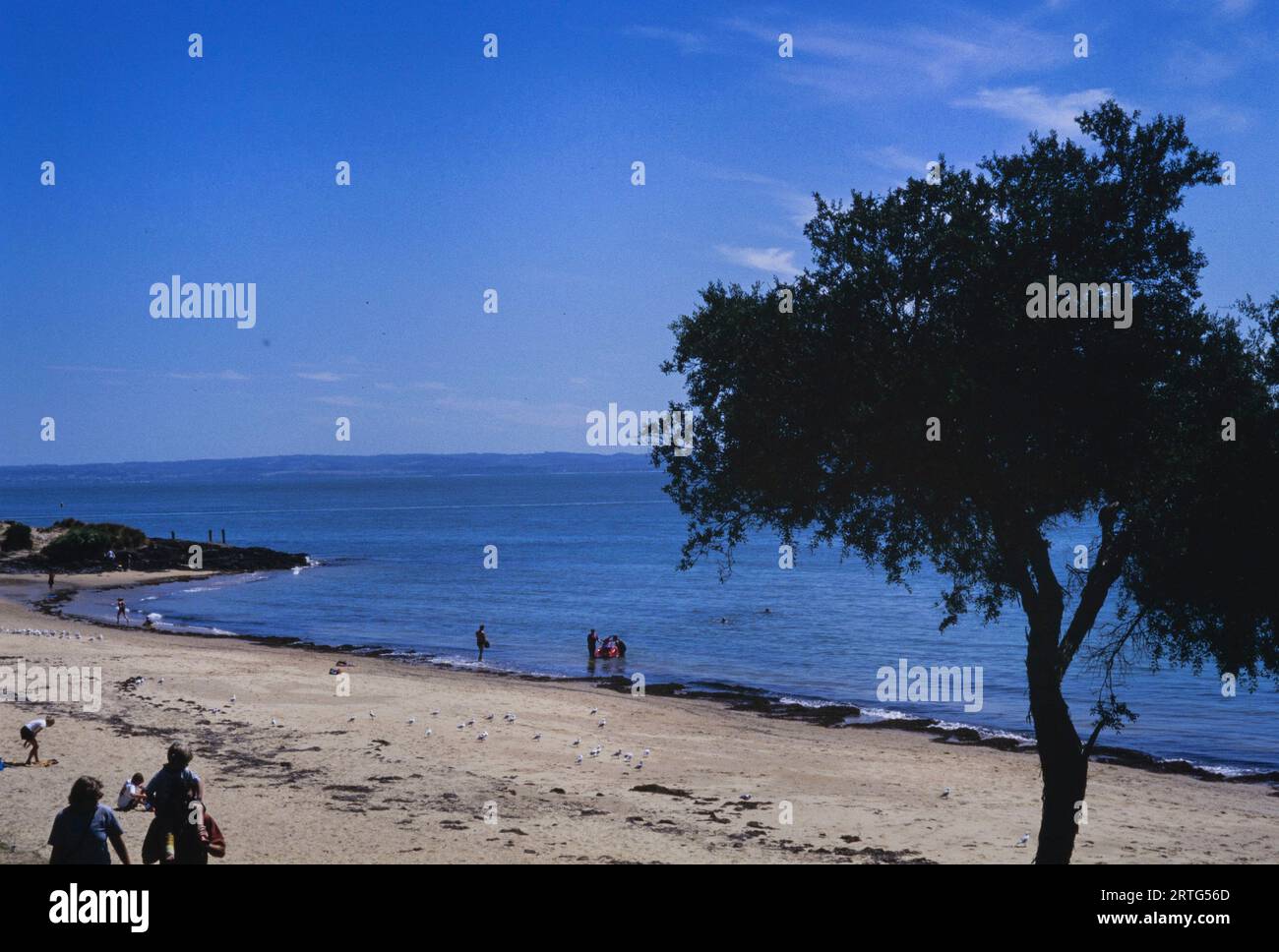 Melbourne, Australia December 1999: Historic view of Melbourne's ...