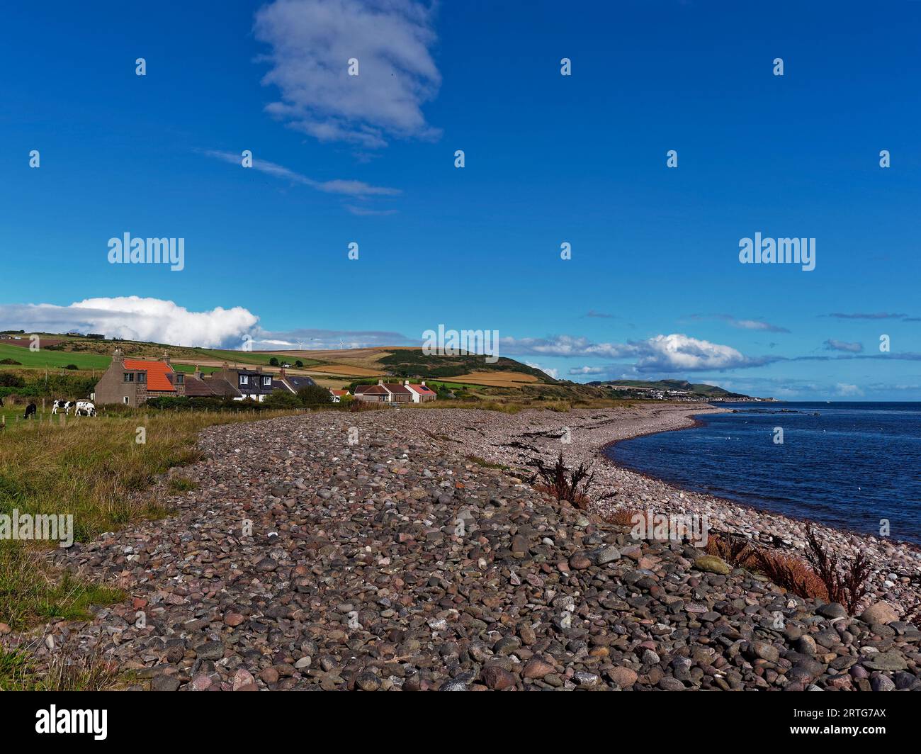 Haughs of benholm hi-res stock photography and images - Alamy