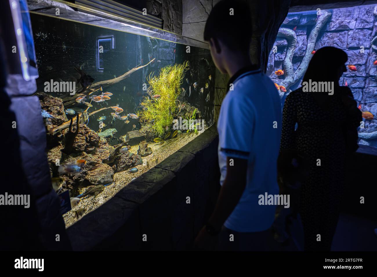 Family looking at fishes in oceanarium. Mother with children enjoying ...