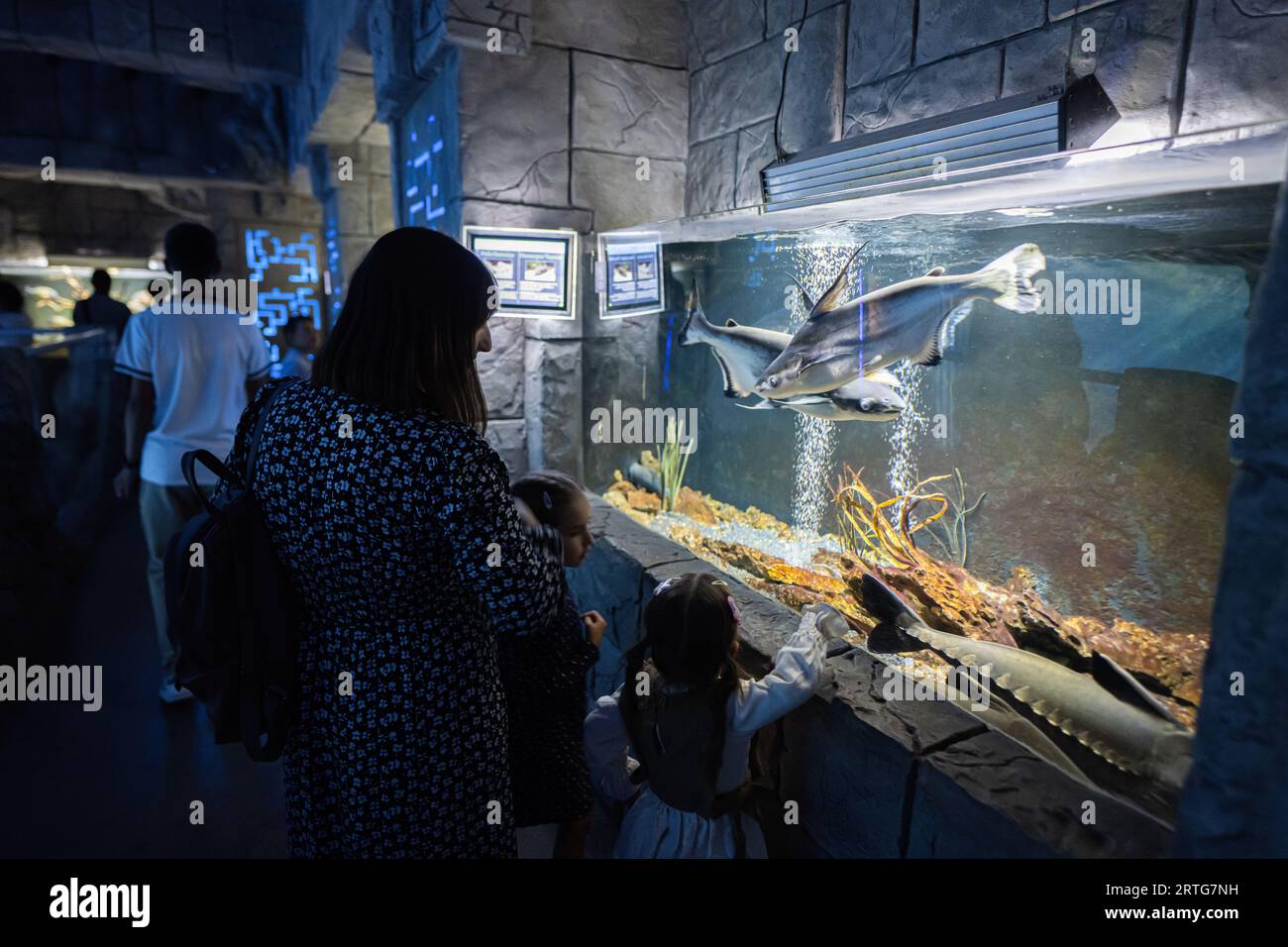 Family looking at fishes in oceanarium. Mother with children enjoying ...