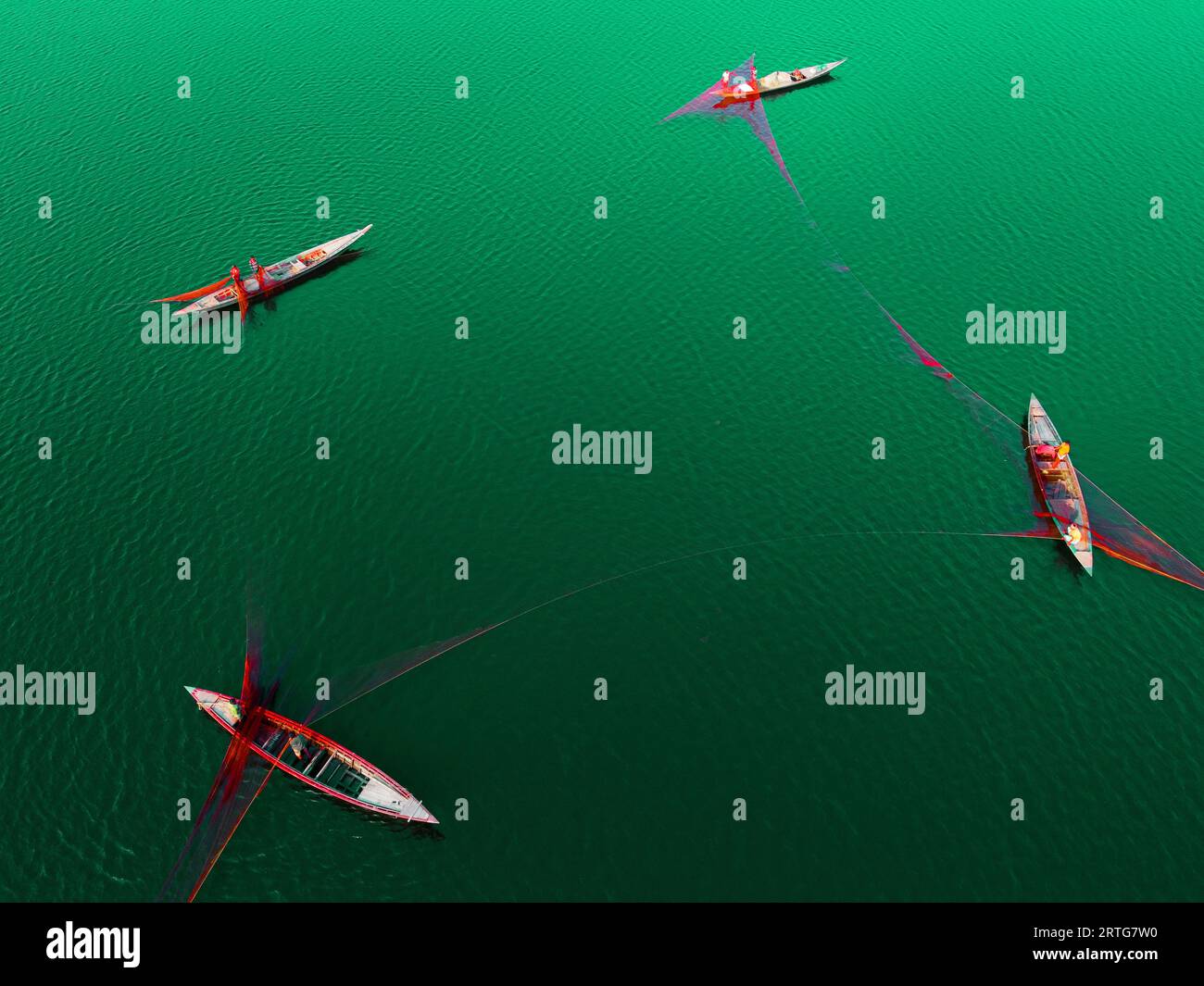 Small fish spread out hi-res stock photography and images - Alamy