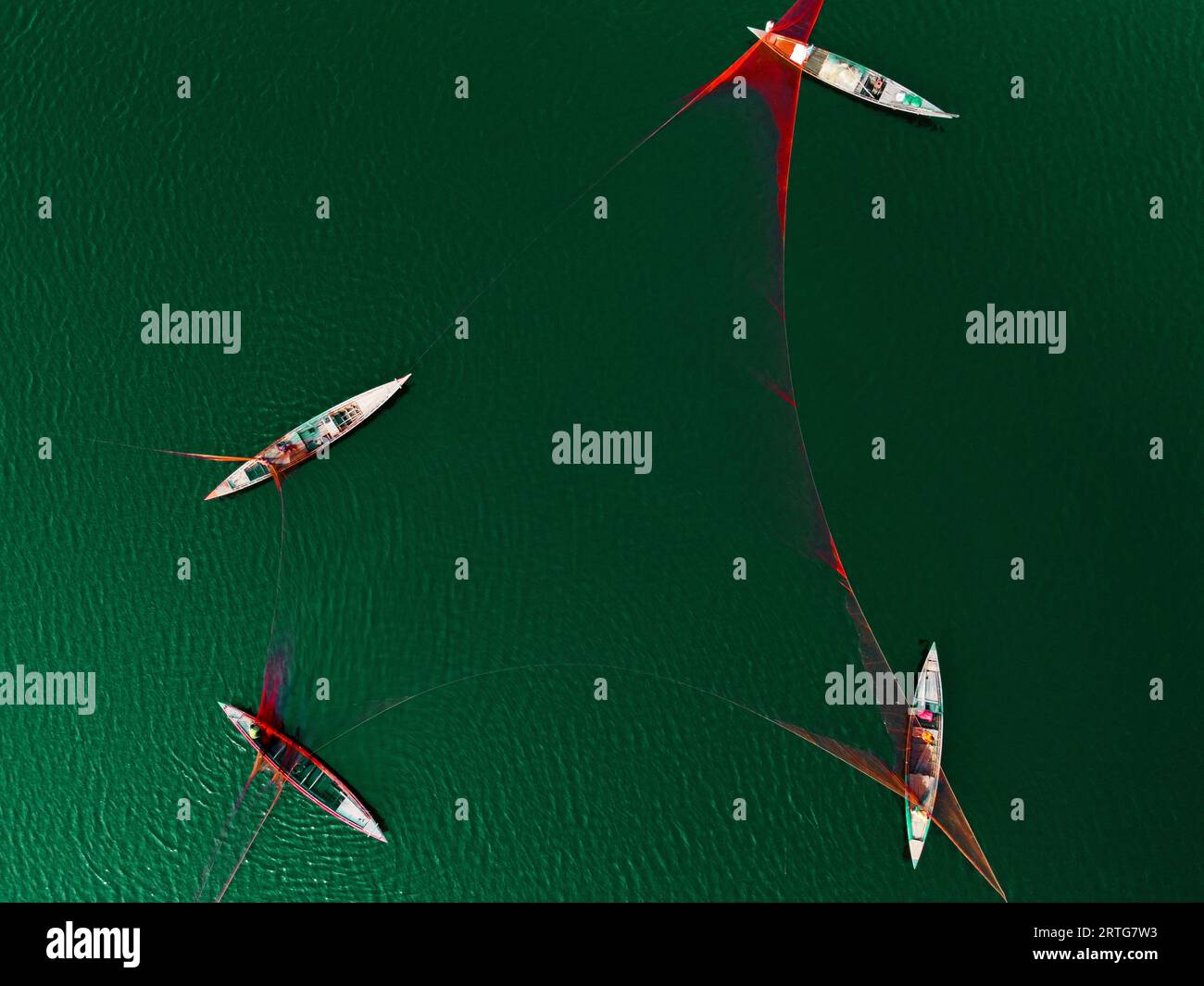 Small fish spread out hi-res stock photography and images - Alamy