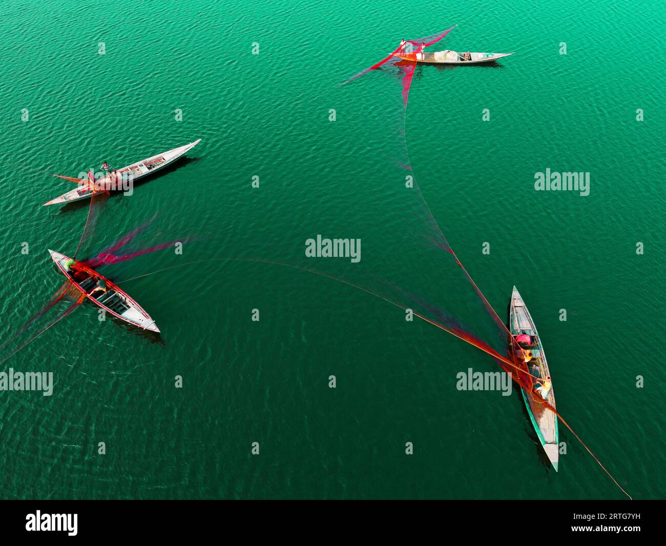 Small fish spread out hi-res stock photography and images - Alamy