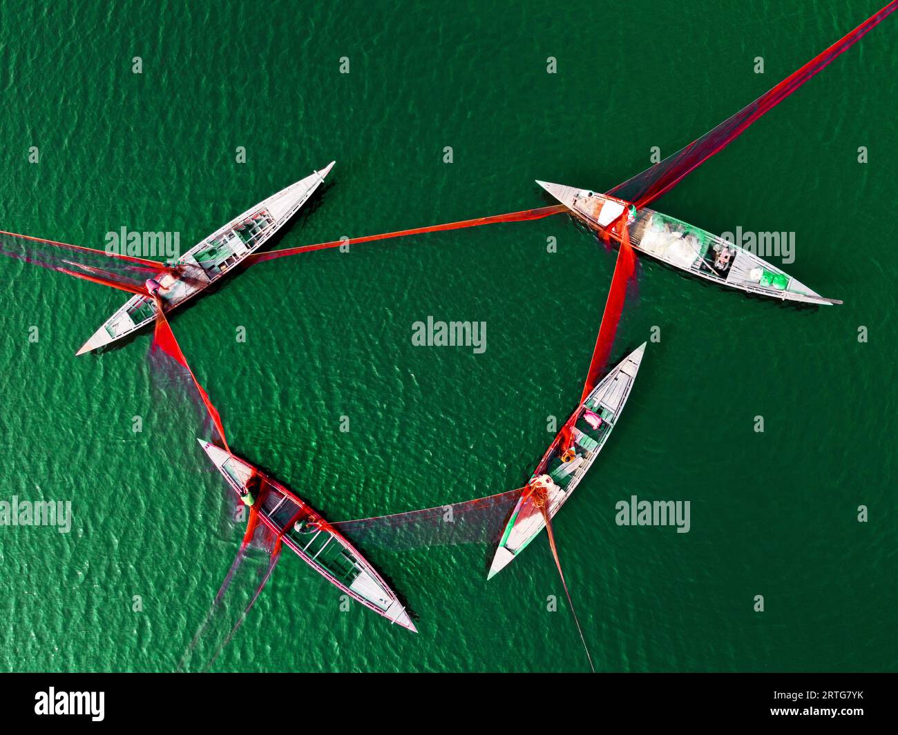 Small fish spread out hi-res stock photography and images - Alamy