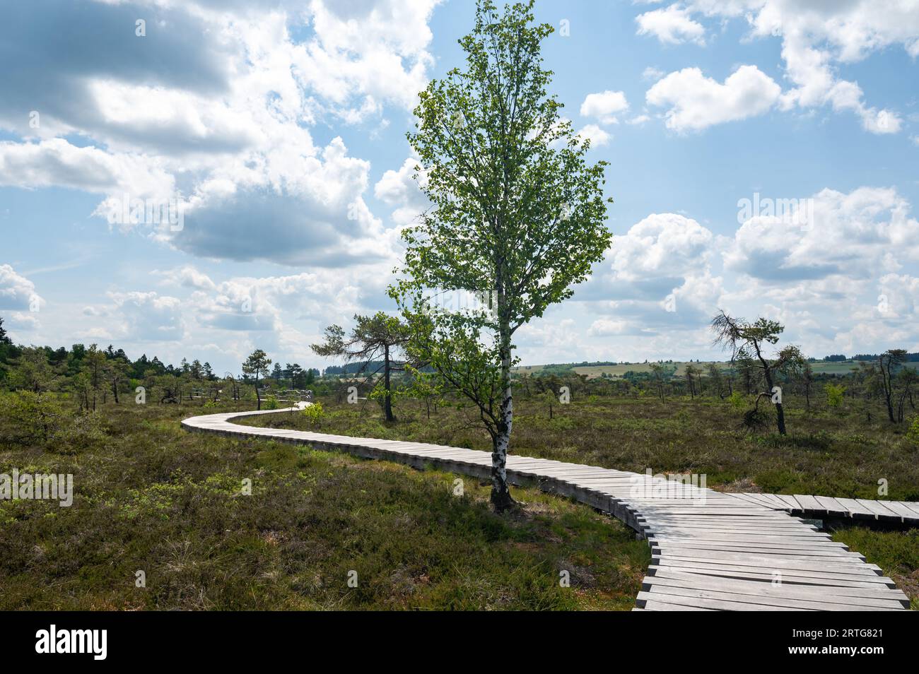 Black moor with a new wooden path in the Rhoen, Bavaria, Germany Stock ...