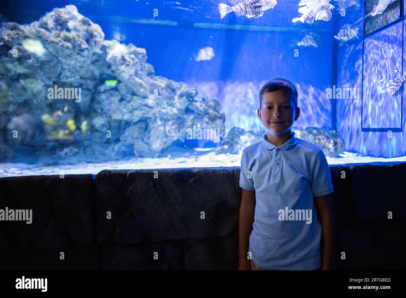 Boy fish tank hi-res stock photography and images - Alamy