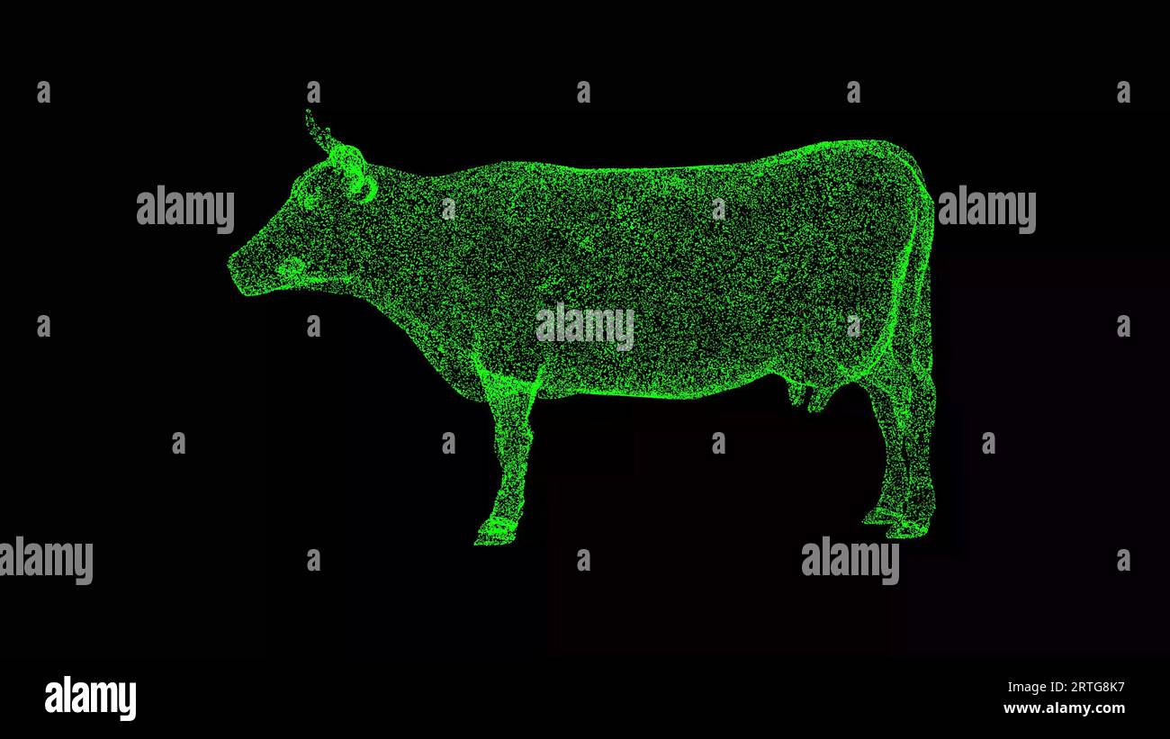 3D Cow on black background. Farm and domestic animals concept. Meat and ...