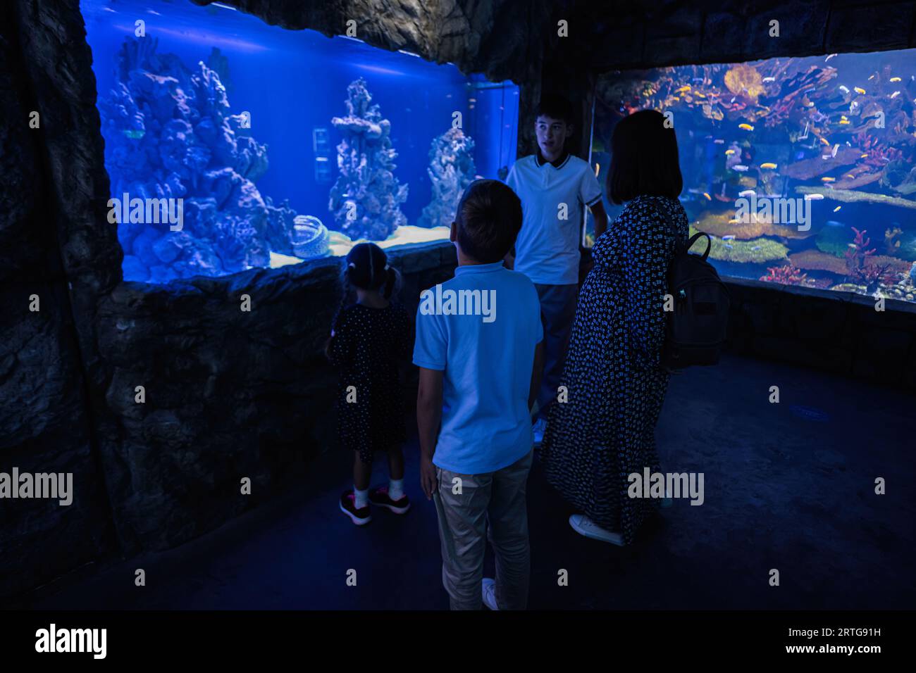 Family looking at fishes in oceanarium. Mother with children enjoying ...