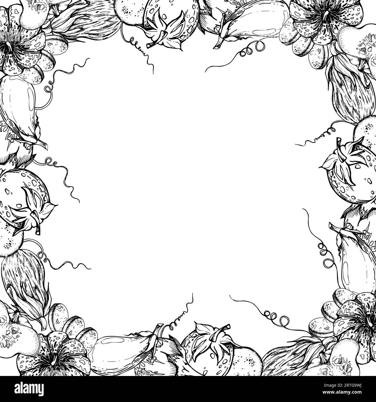 Hand drawn ink vector pumpkin gourd squash. Sketch illustration art for ...