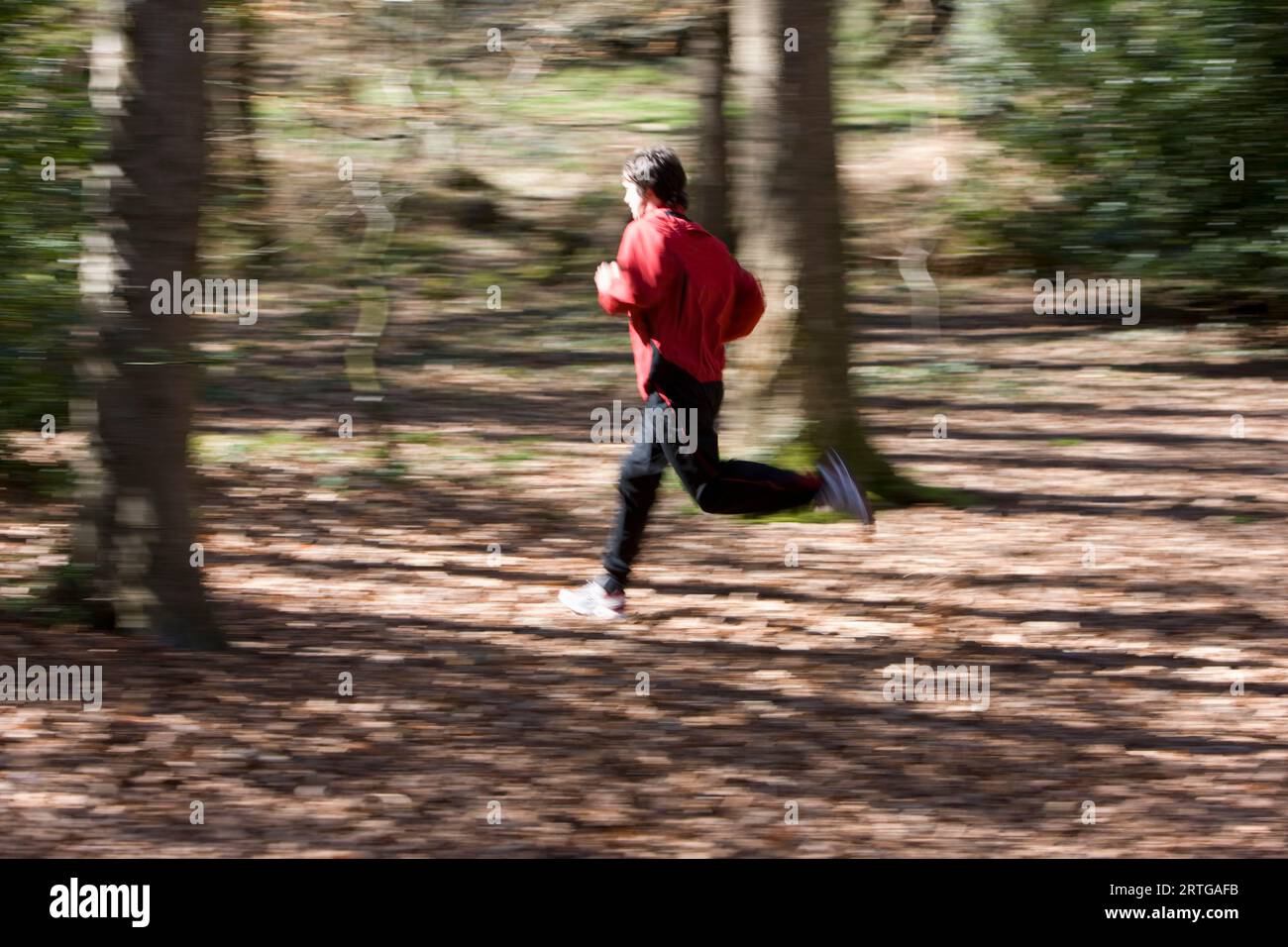 Portrait of a man running in the park Stock Photo - Alamy