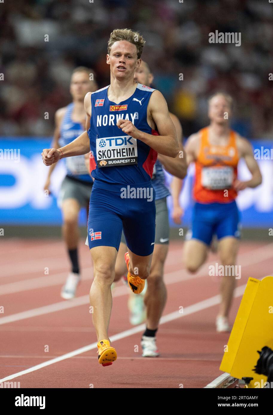 Finish sander hi-res stock photography and images - Alamy