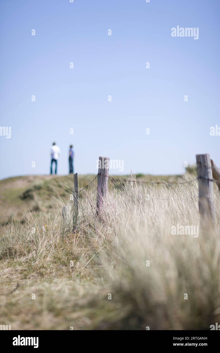 Grass with two people standing in the distance Stock Photo - Alamy