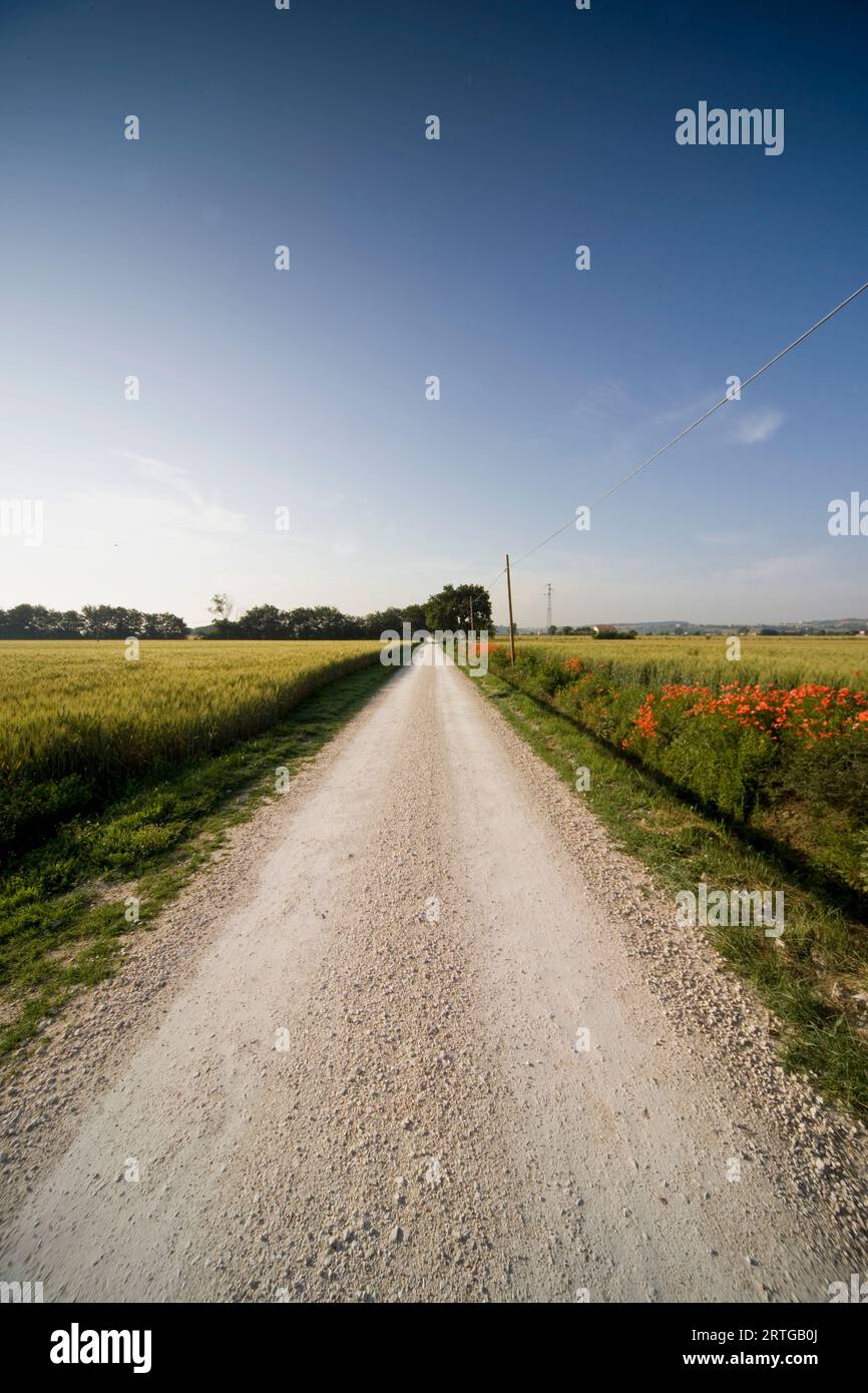 Countryside unmade road Stock Photo - Alamy