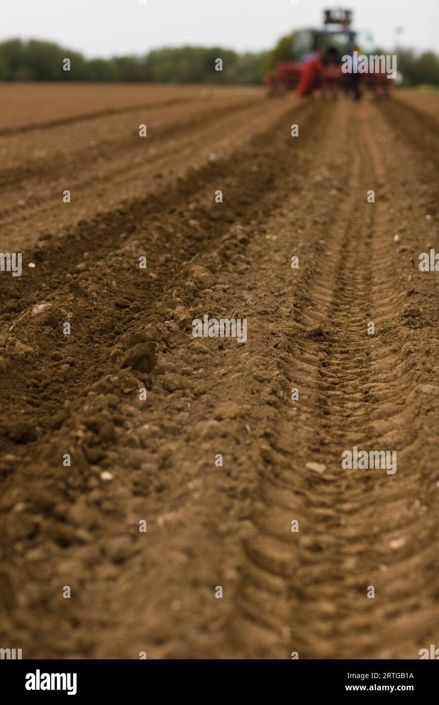 Agricultural field with tractor tyre tracks Stock Photo - Alamy
