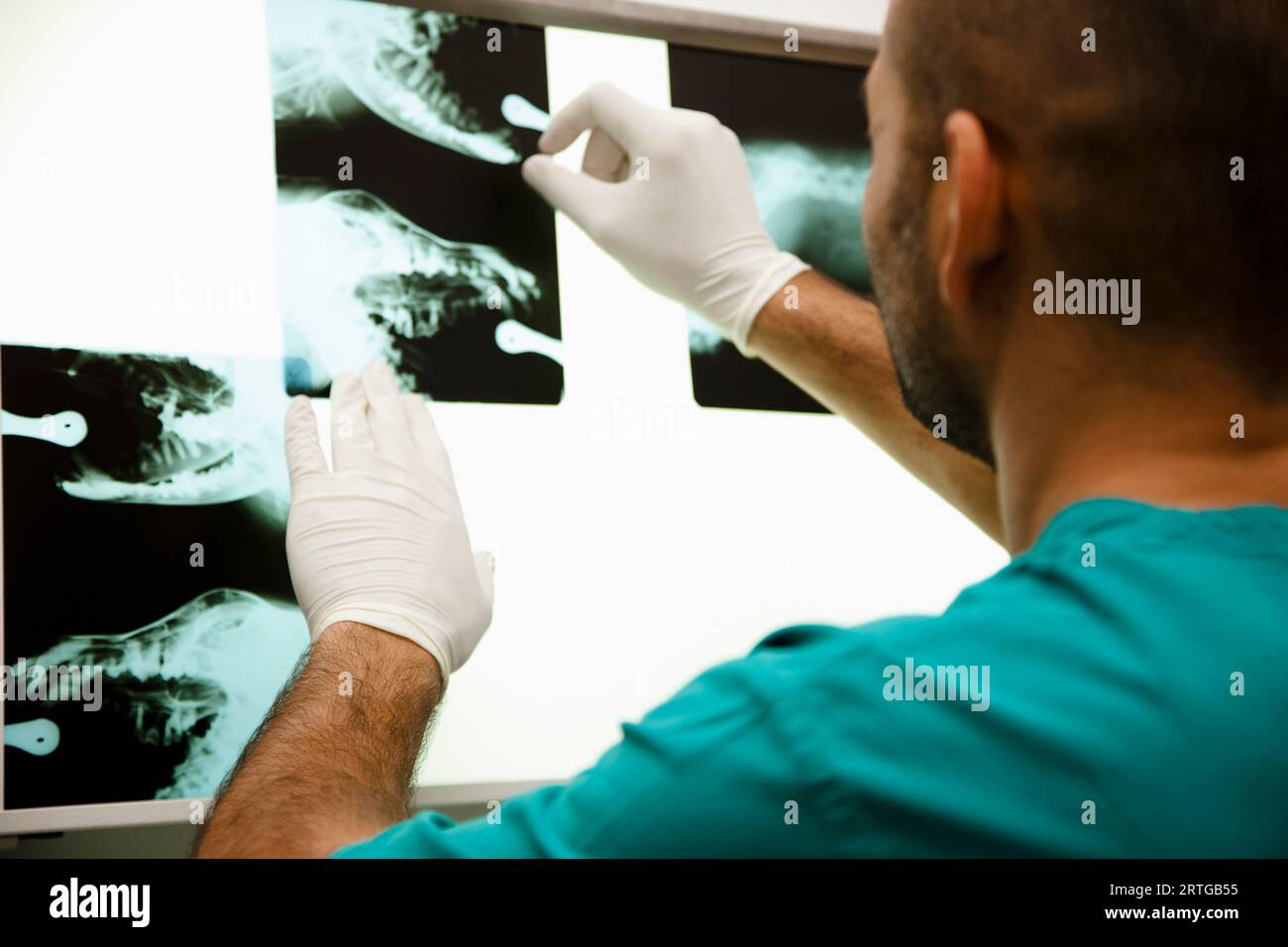 Vet examining ray hi-res stock photography and images - Alamy