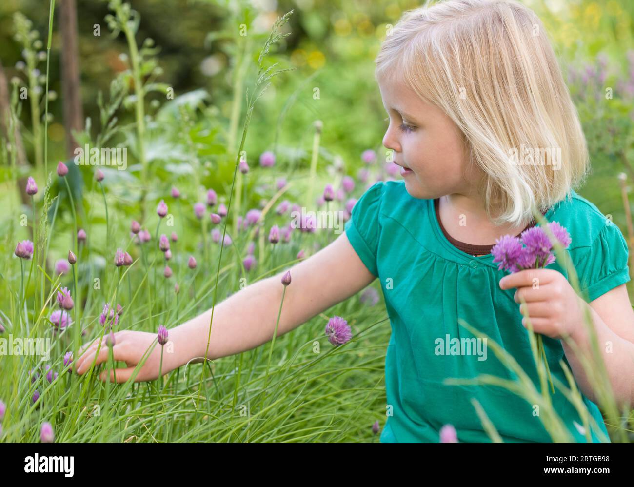 Children picking flowers hi-res stock photography and images - Alamy