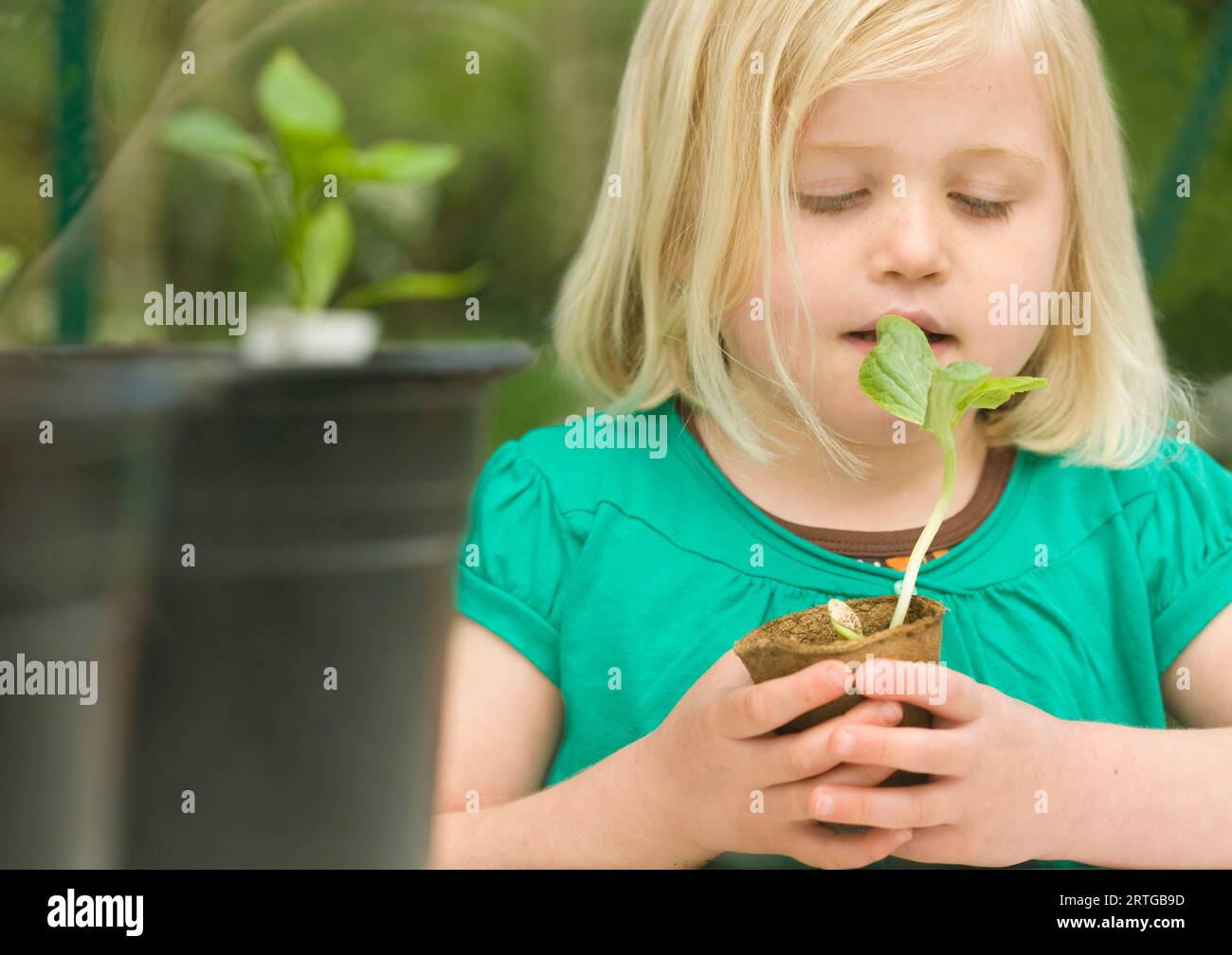 1 5 growth hi-res stock photography and images - Alamy