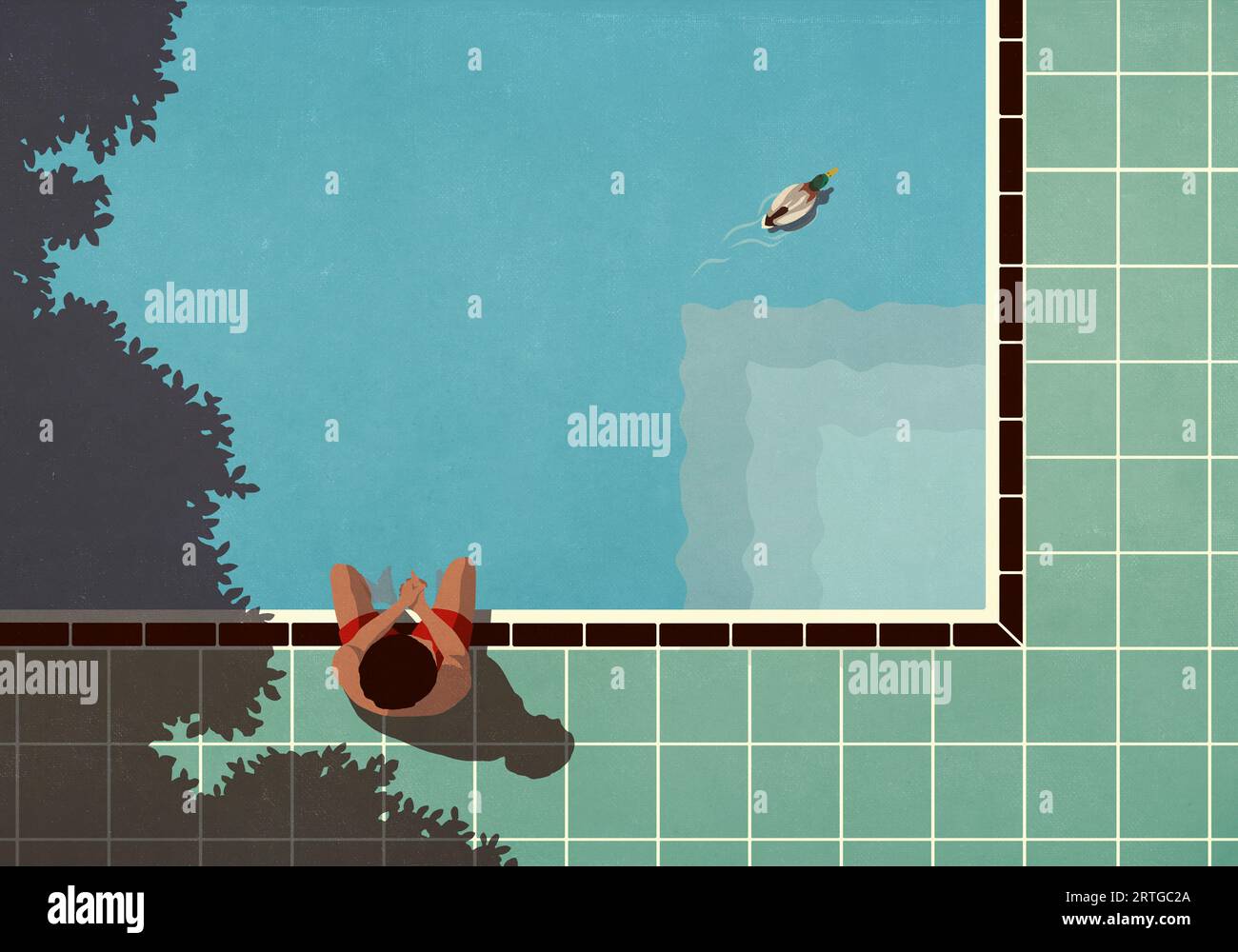 View from above man at sunny poolside watching duck floating in ...