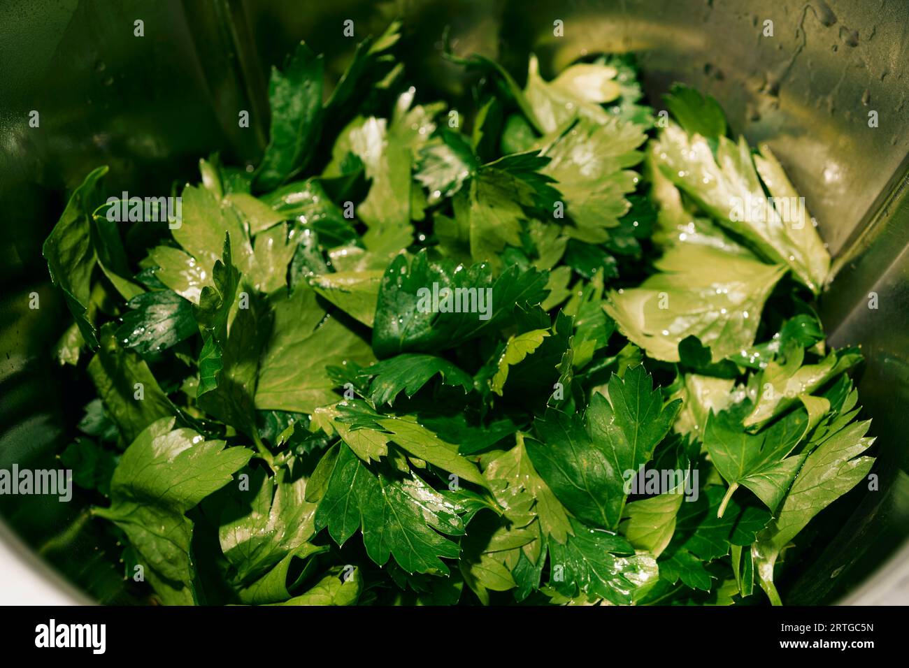 Washing cilantro hi-res stock photography and images - Alamy