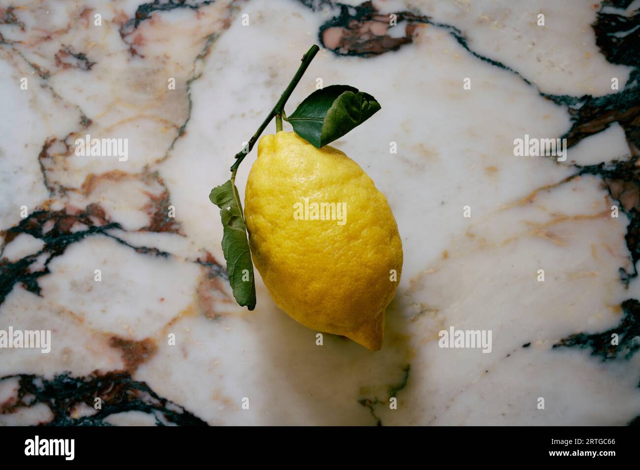 Still life vibrant yellow lemon on stem against granite countertop ...