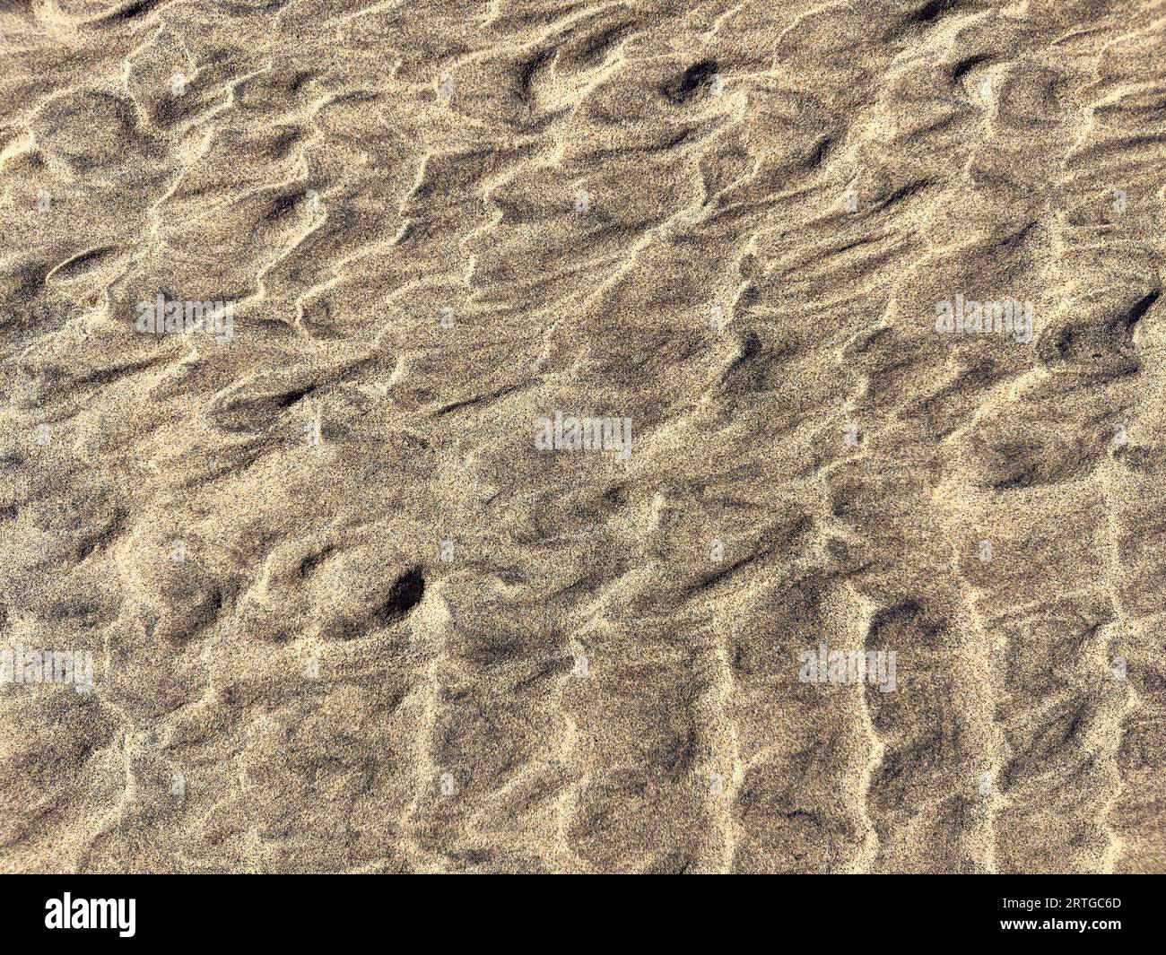 Full frame textured sand beach in sunlight Stock Photo - Alamy