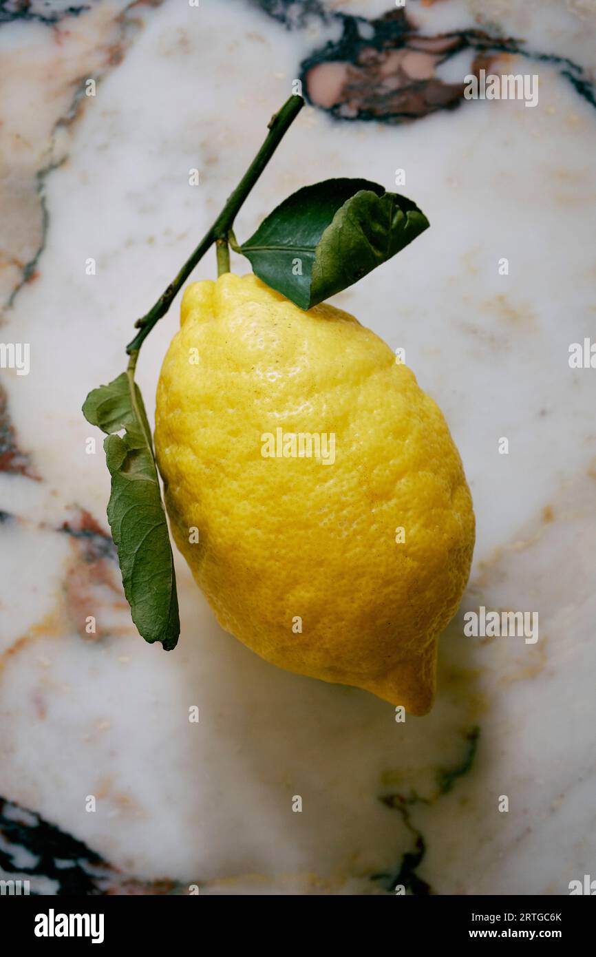 Still life vibrant yellow lemon on stem Stock Photo - Alamy