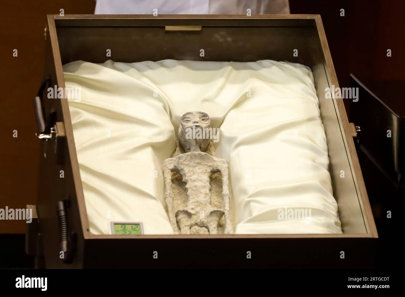 Non Exclusive: September 12, 2023, Mexico City, Mexico: A specimen ...